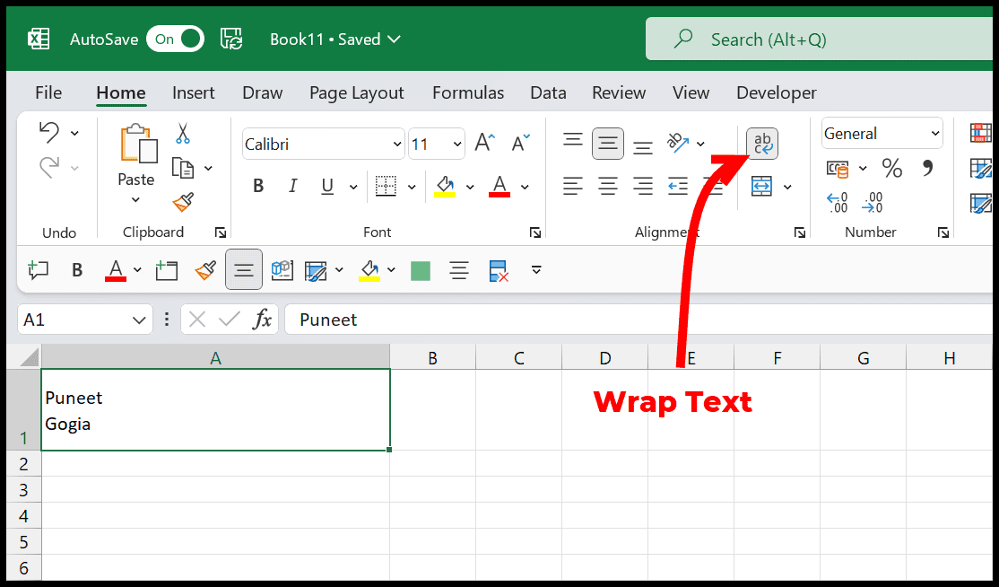 How to Add New Line in a Cell in Excel (Line Break)